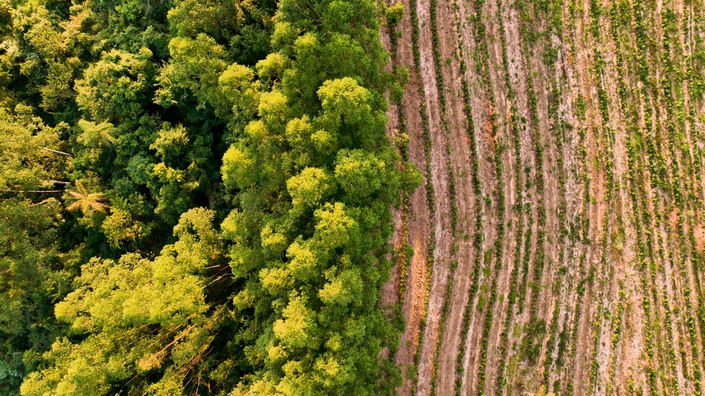 WEBINAR: EUDR: el nuevo desafío verde de la UE para las empresas | España